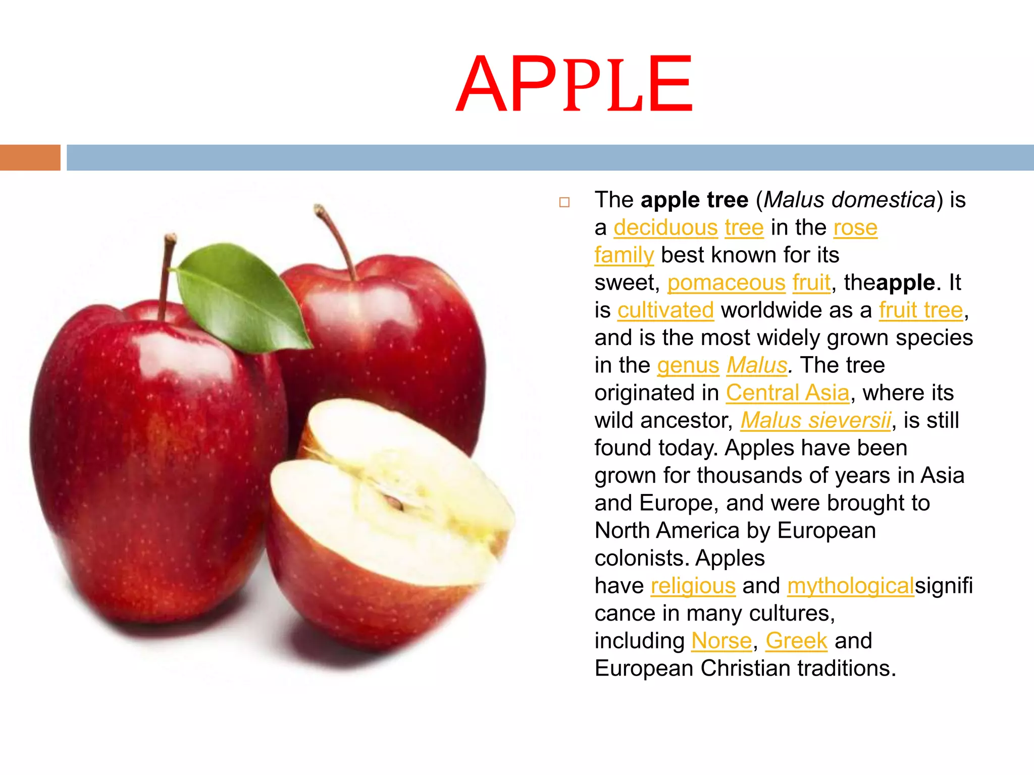 Armenian fruits | PPTX