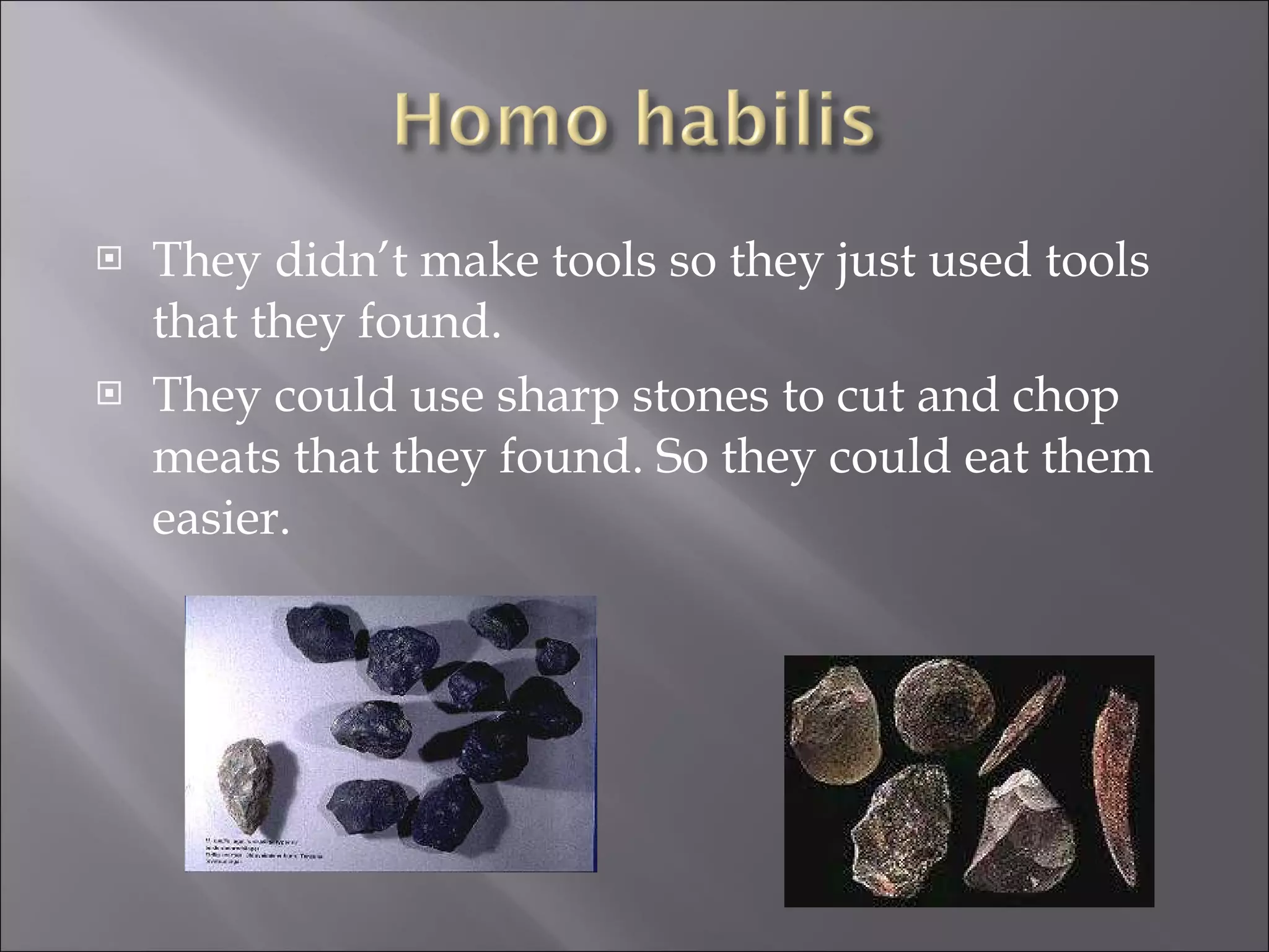 Armin early humans tools | PPT