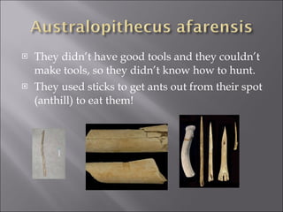 Early Hominids Tools