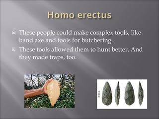 Armin early humans tools | PPT
