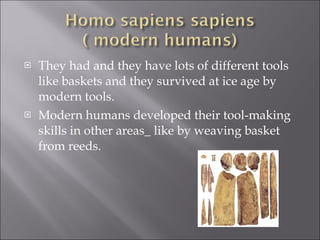 Armin early humans tools | PPT