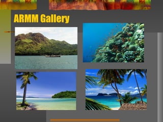 Armm | PPT