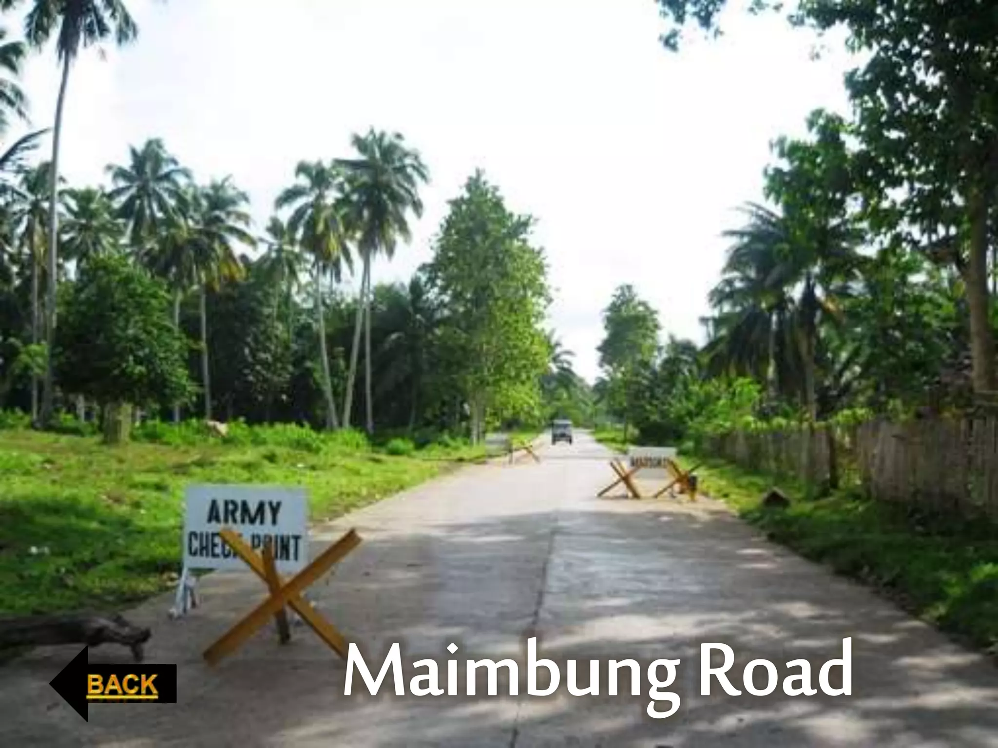 ARMM (Autonomous Region in Muslim Mindanao) | PPTX