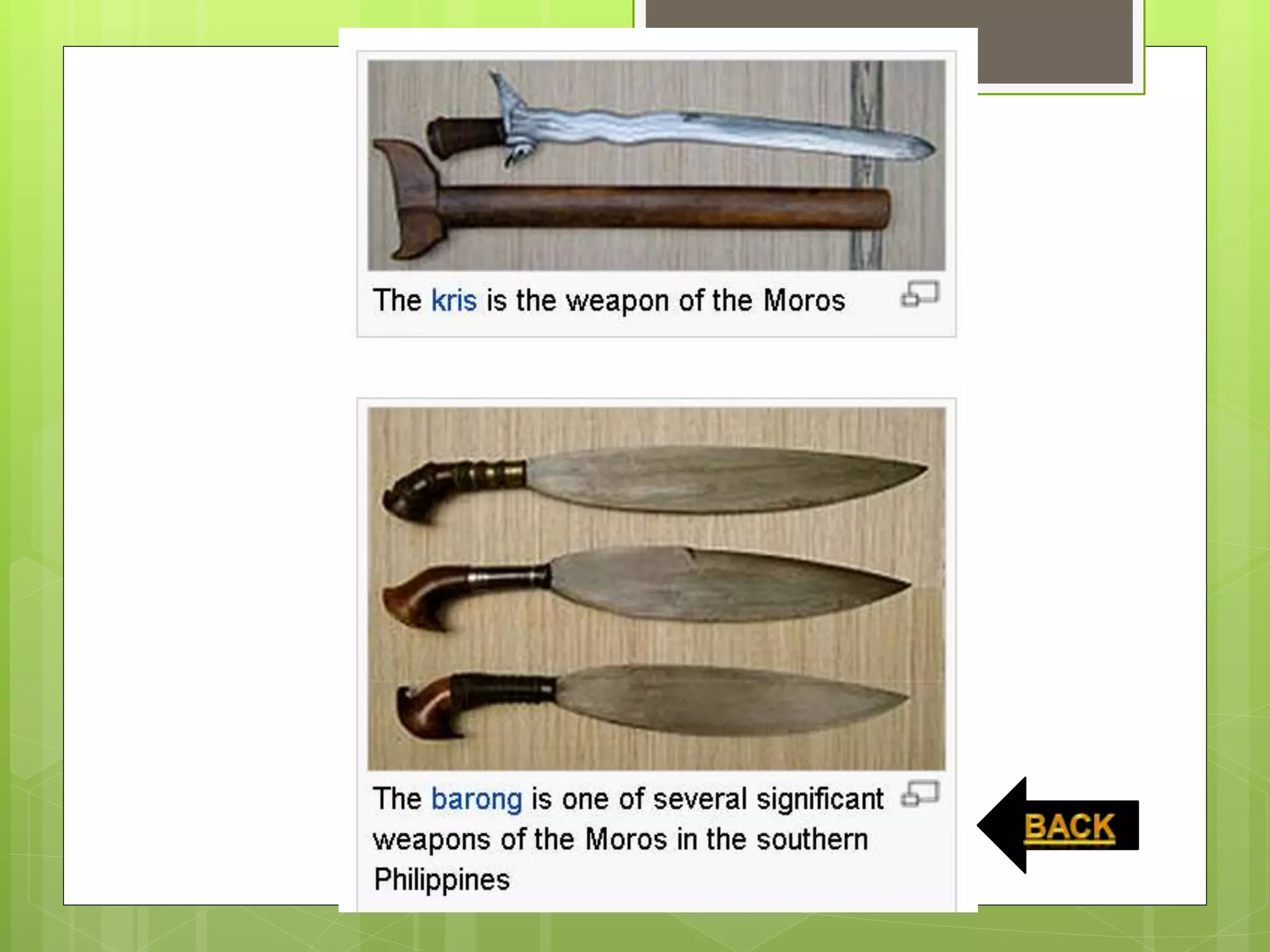 ARMM (Autonomous Region in Muslim Mindanao) | PPTX