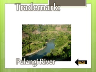 ARMM (Autonomous Region in Muslim Mindanao) | PPTX