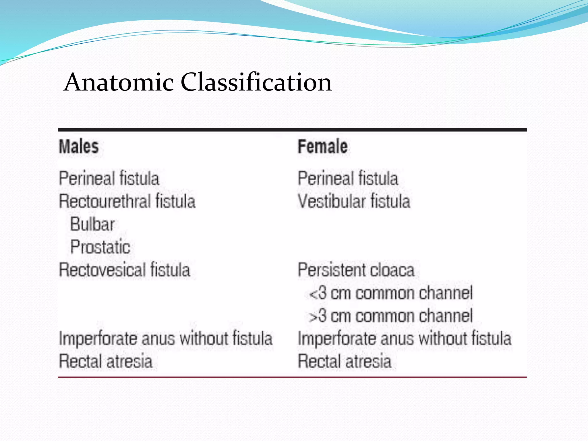 Anorectal Malformations | PPTX