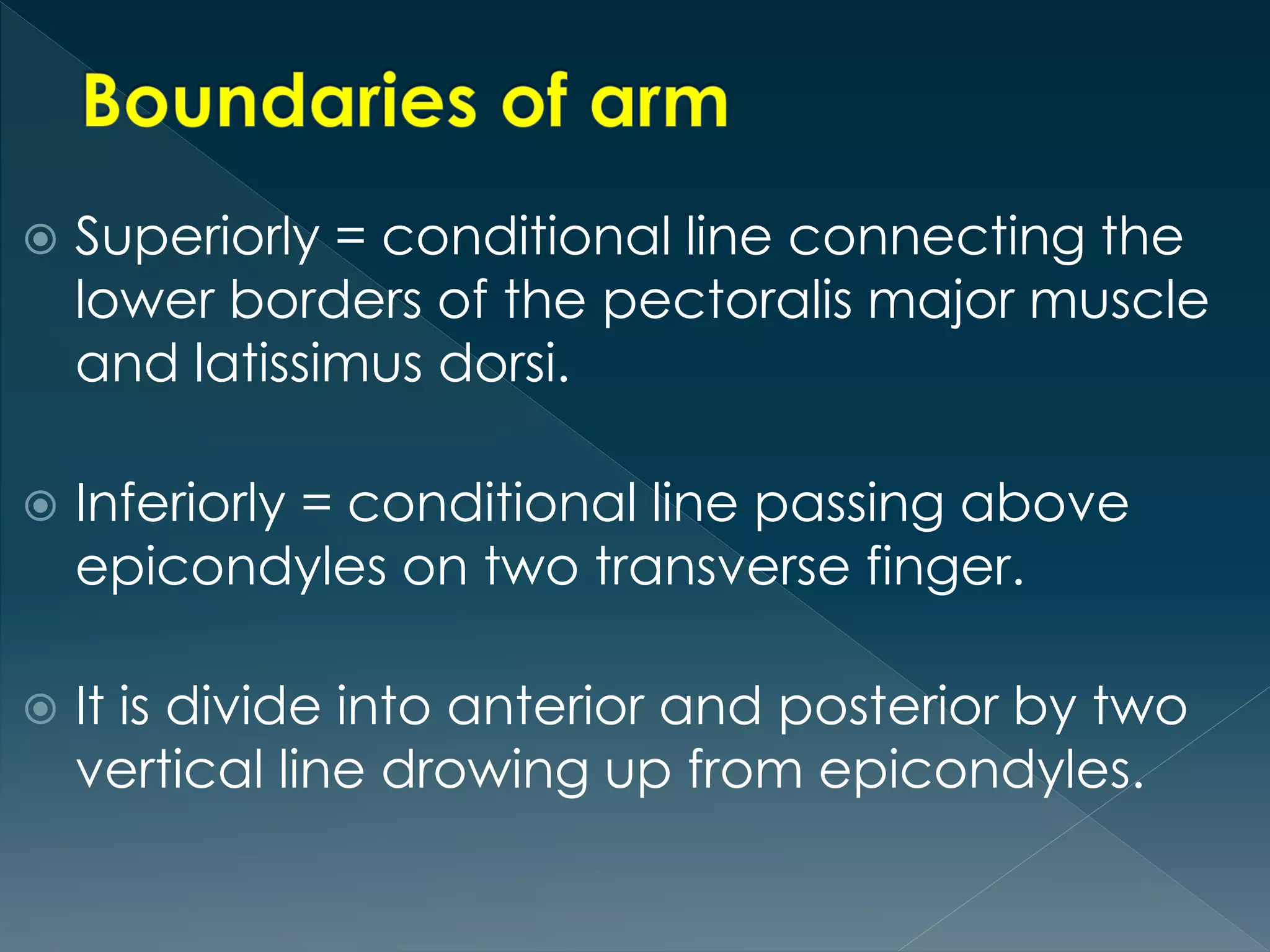Arm region | PPTX