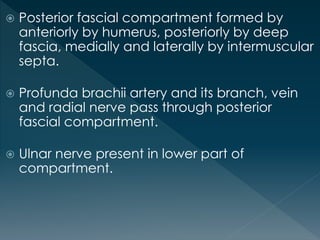 Arm region | PPTX | Death, Injury, or Military Conflict | Sensitive Topics