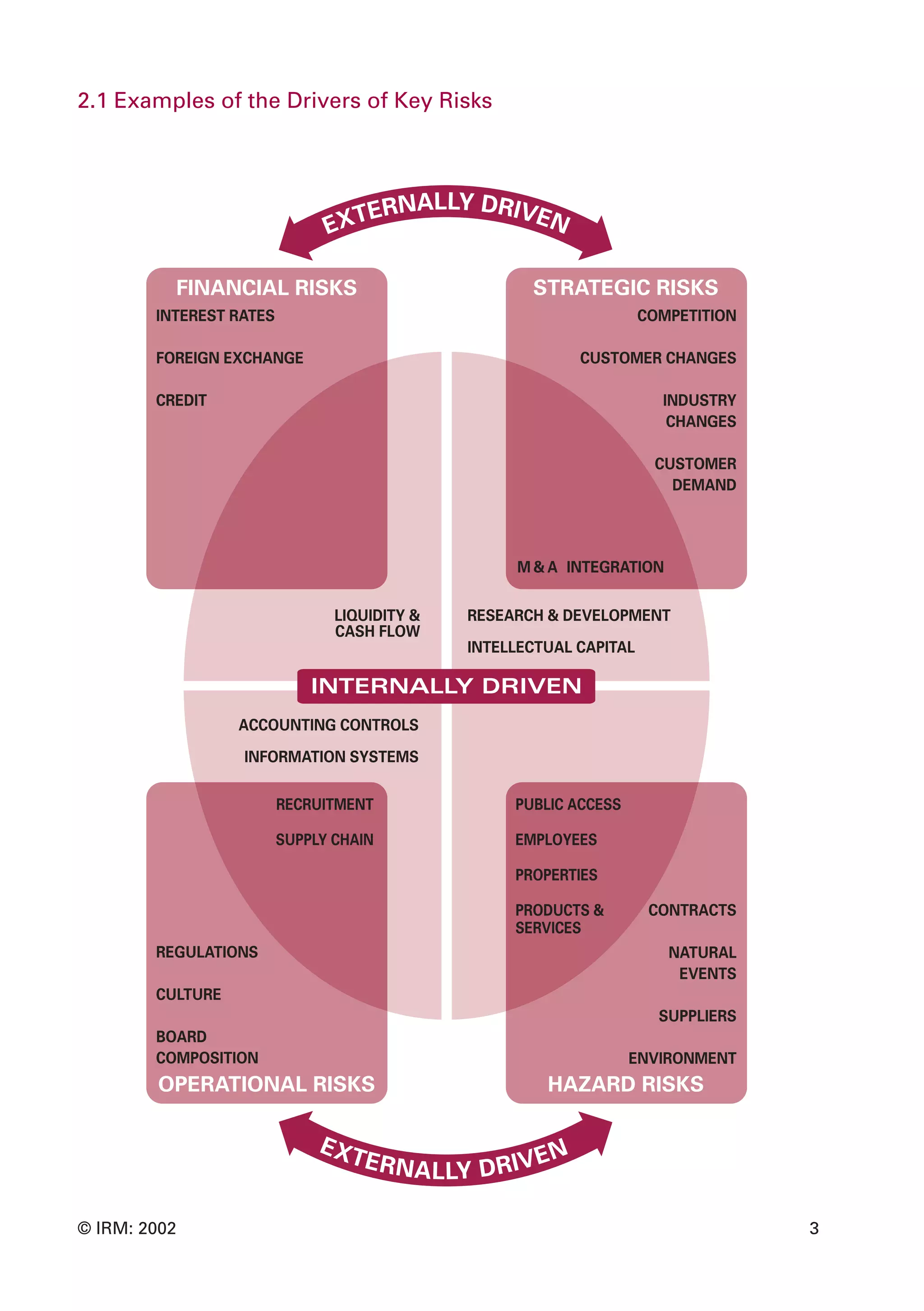The IRM India- A Risk Management Standard | PDF