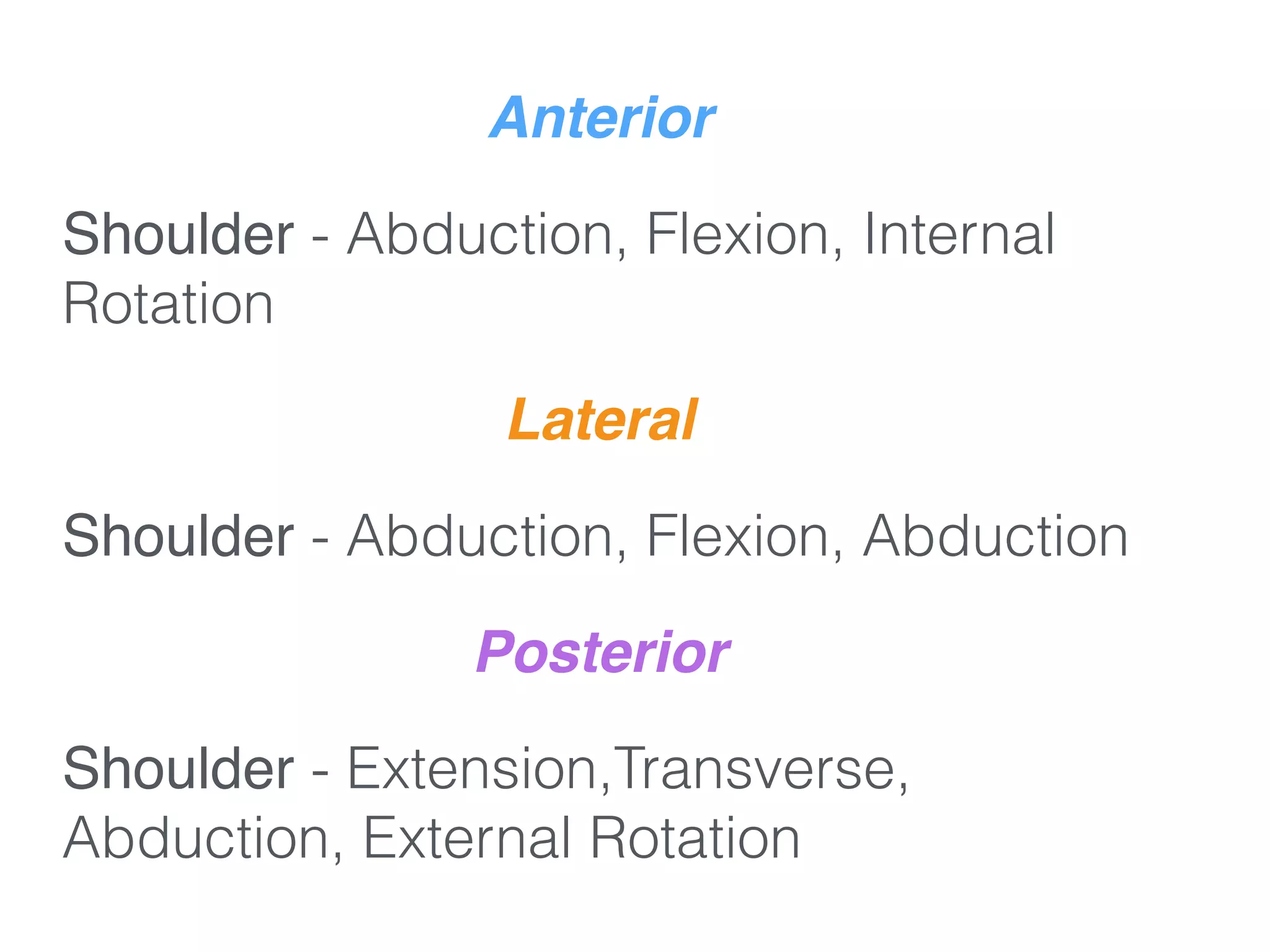 Arm+shoulder anatomy*** | PDF