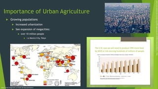 Nadine Armstrong 2016_03_30 urban agriculture and beekeeping | PPT