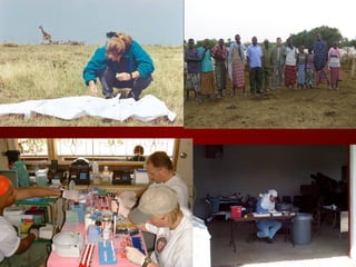 Army entomology a_historical_perspective | PPT