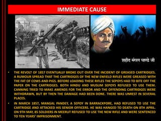Immediate Causes Of Revolt Of 1857