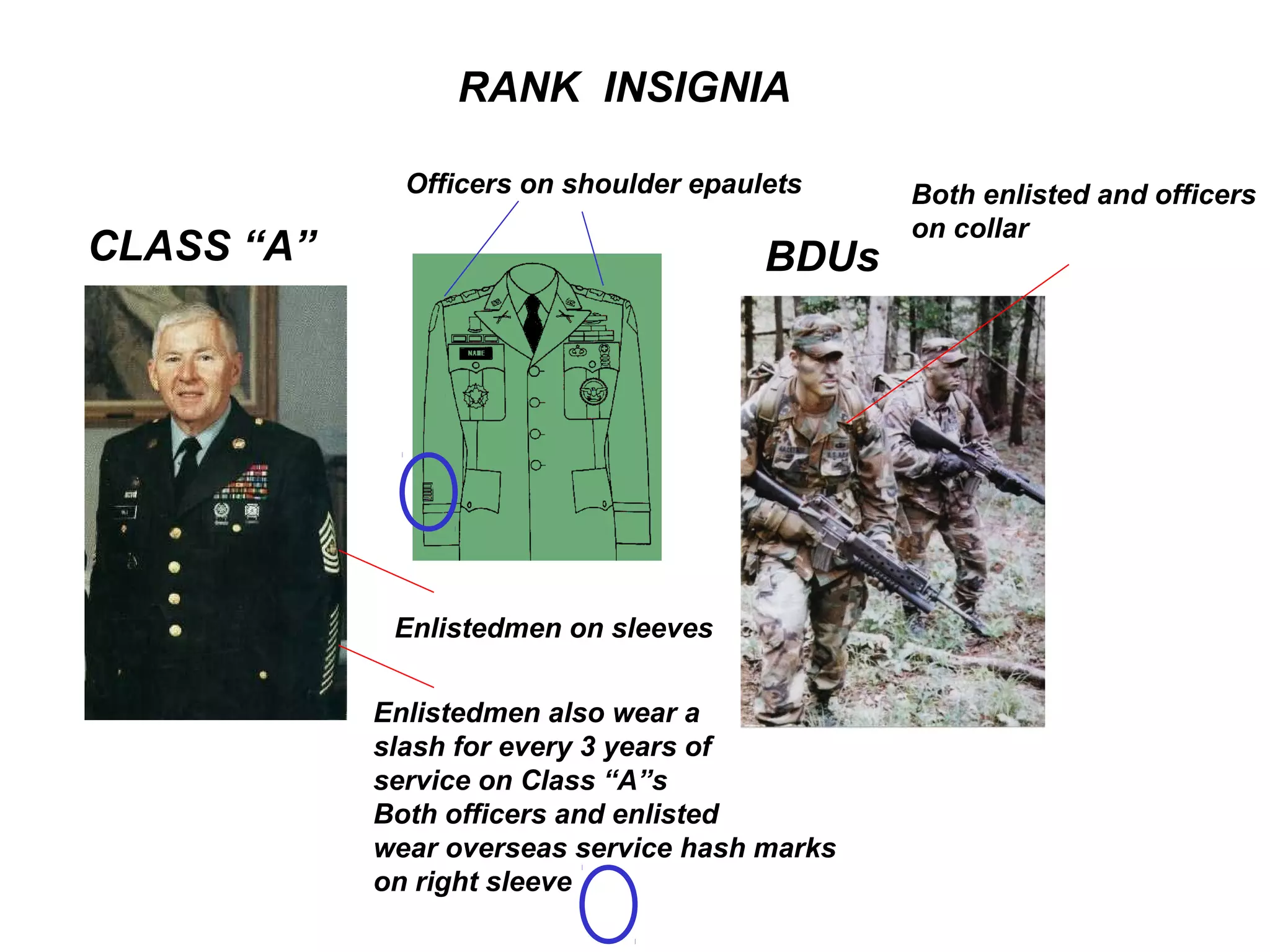 Army Units 'n Ranks | PPT