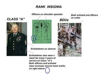 Army Units 'n Ranks | PPT