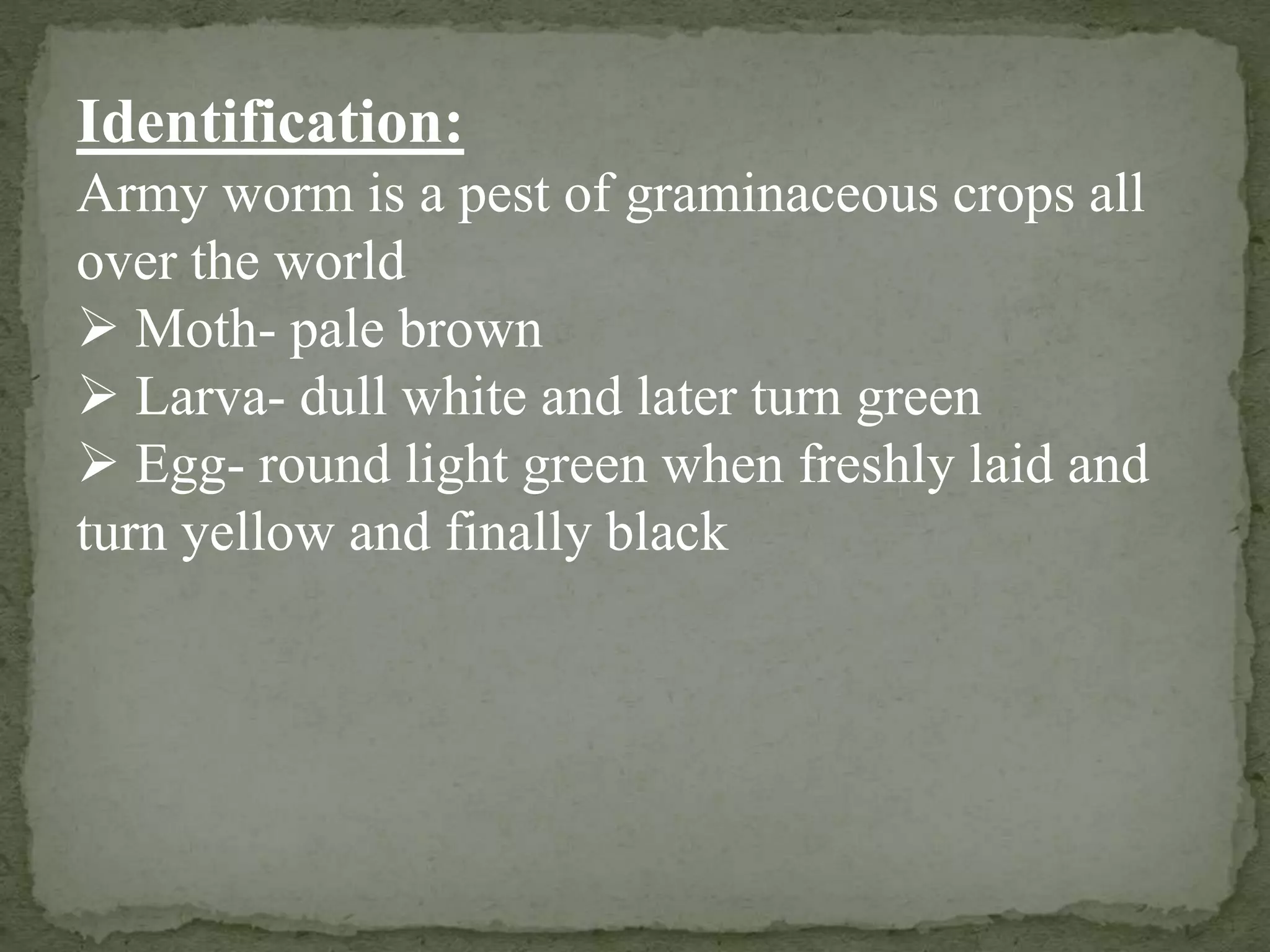 Army worm | PPTX | Agriculture | Industries