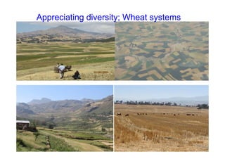 Decision support tools for farm-level fertilizer recommendation in ...