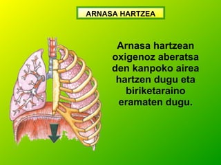 Arnas aparatua | PPT