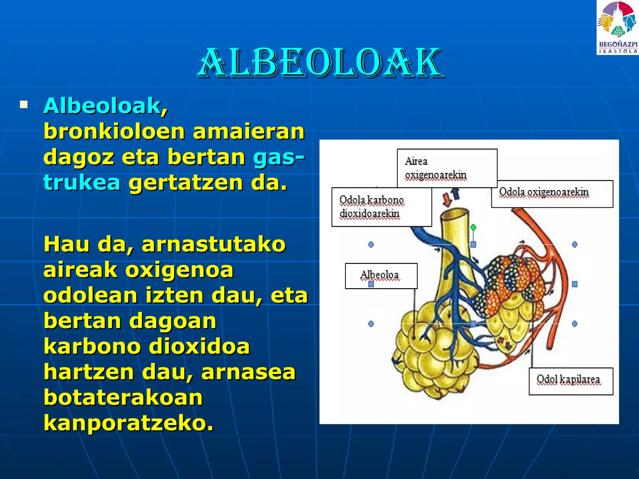 Arnas aparatua | PPT