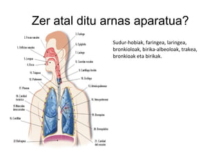 Arnas aparatua | ODP