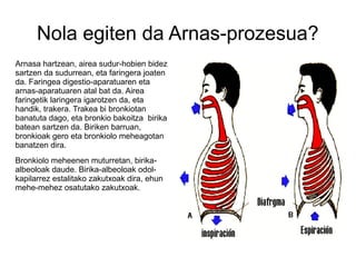 Arnas aparatua | ODP