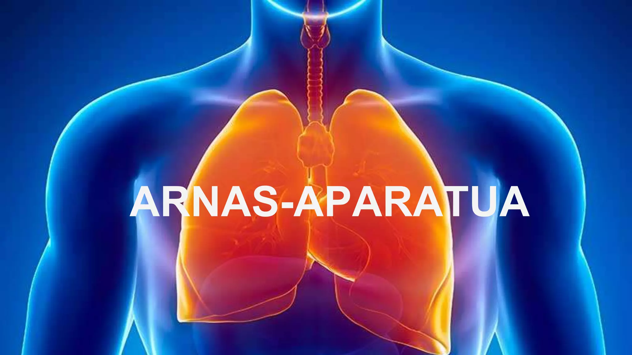 Arnas-aparatua 2016/2017 | PPTX