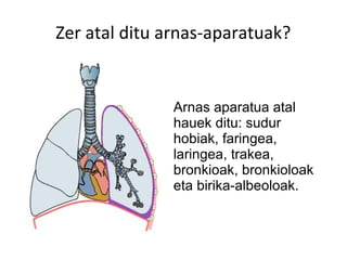 Arnas aparatua ainara | ODP