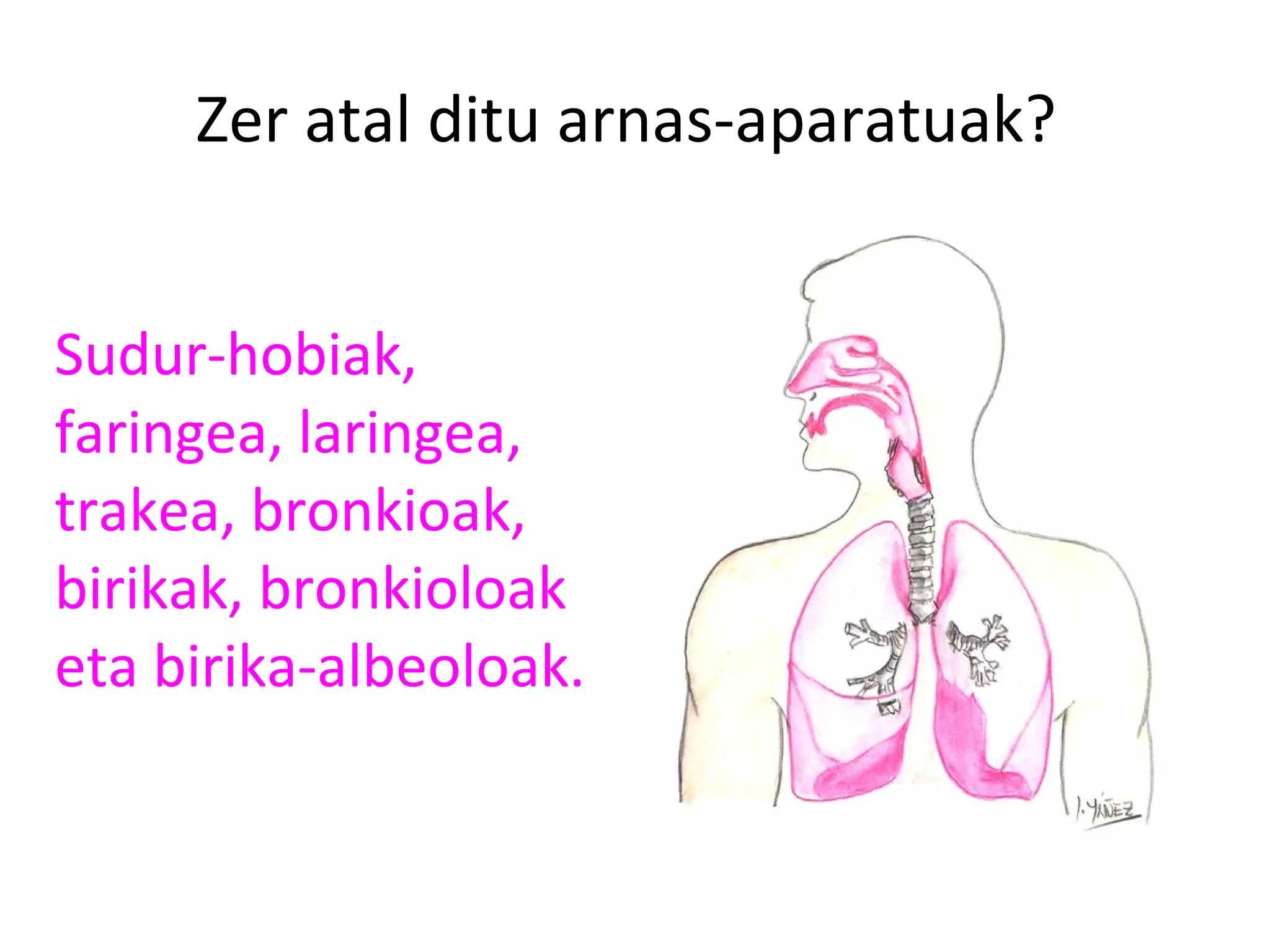 Arnas aparatua laia | ODP