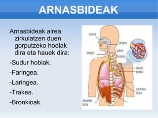 Arnas aparatua aurkezpena | ODP