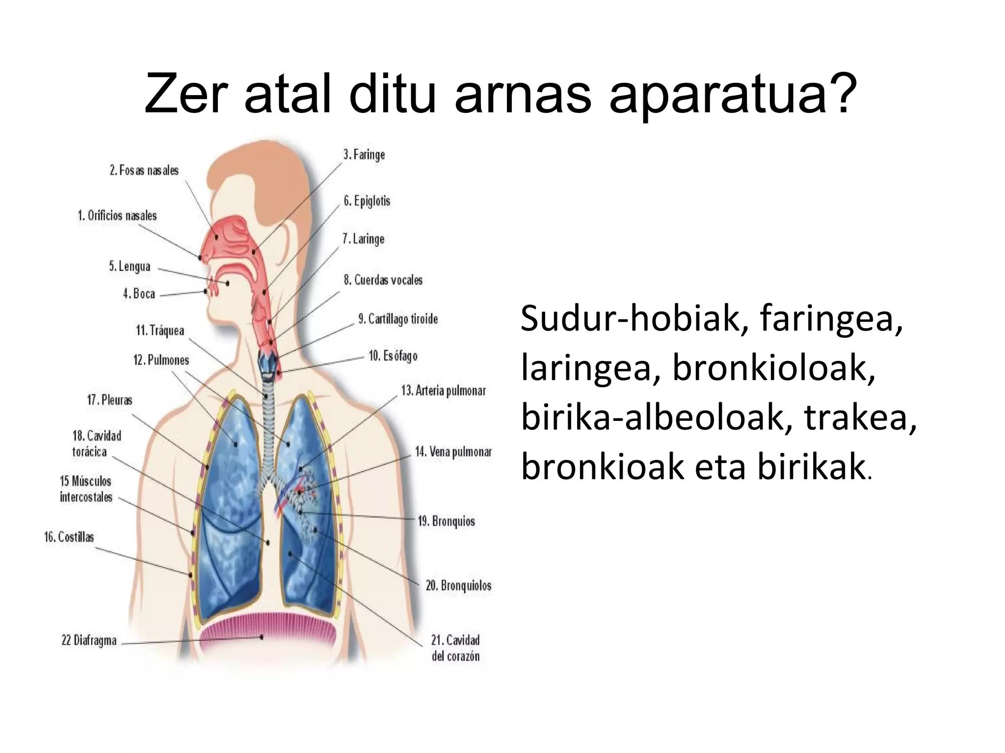 Arnas aparatua iker | ODP