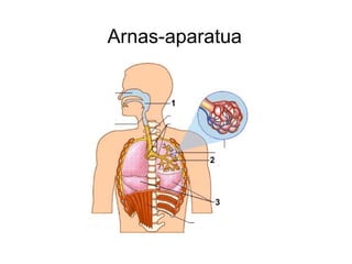 Arnas aparatua iker | ODP