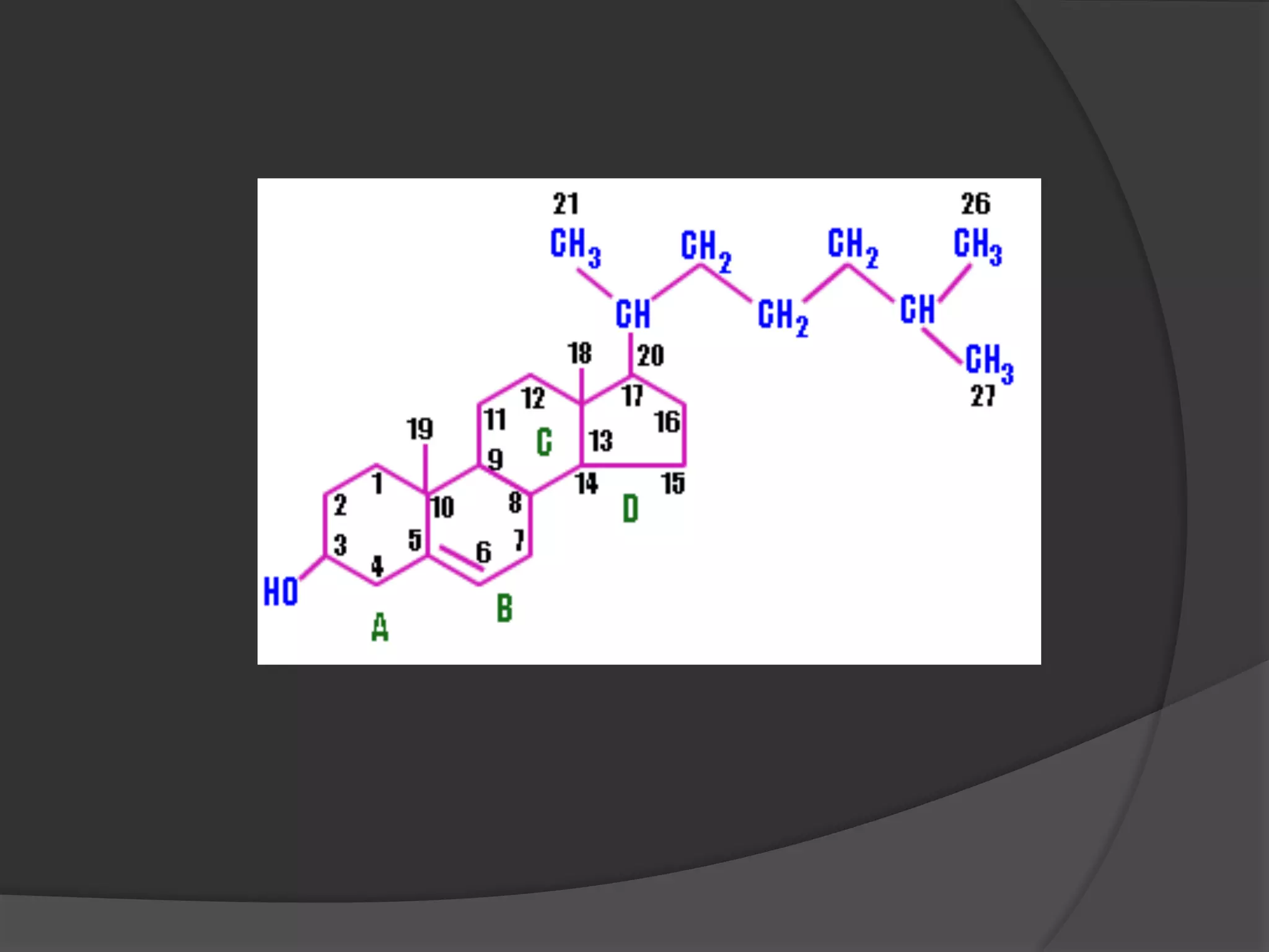 cholesterol synthesis | PDF