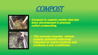 Waste the hidden treasure by Arnav, Kushagra and Aditya | PPT