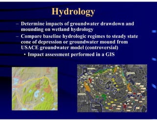 Mining Impacts and Wetlands_Crandon_Experience | PPT