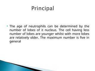 Arneth count Demonstration hematology presentation | PPT