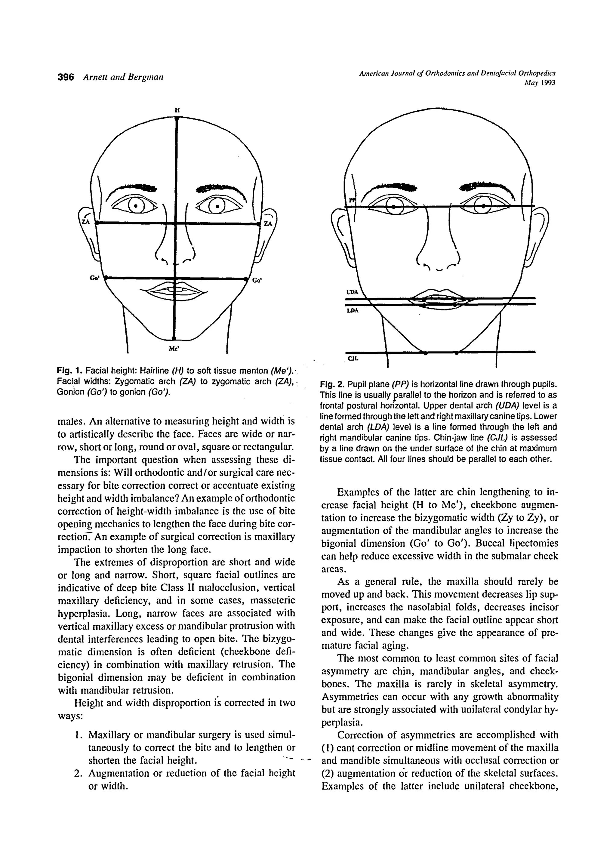 Arnett 2 | PDF