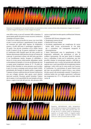 arnia trasparente temperature e varroa (1).pdf