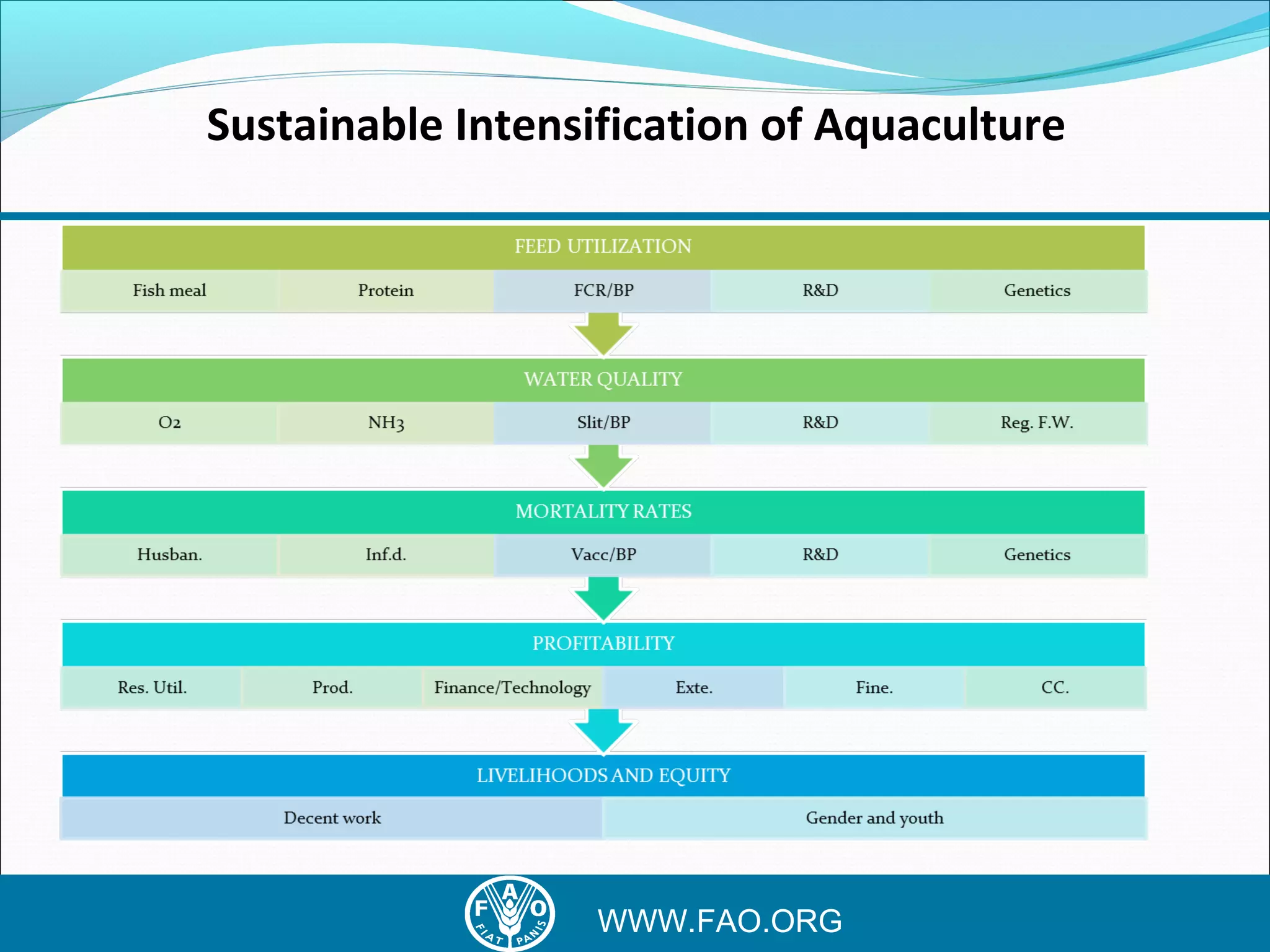 Financing the sustaibanable ocean economy | PPT