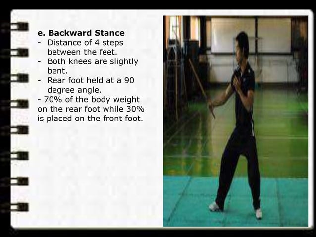 ARNIS | PPTX | Arms & Ammunition | Sensitive Topics