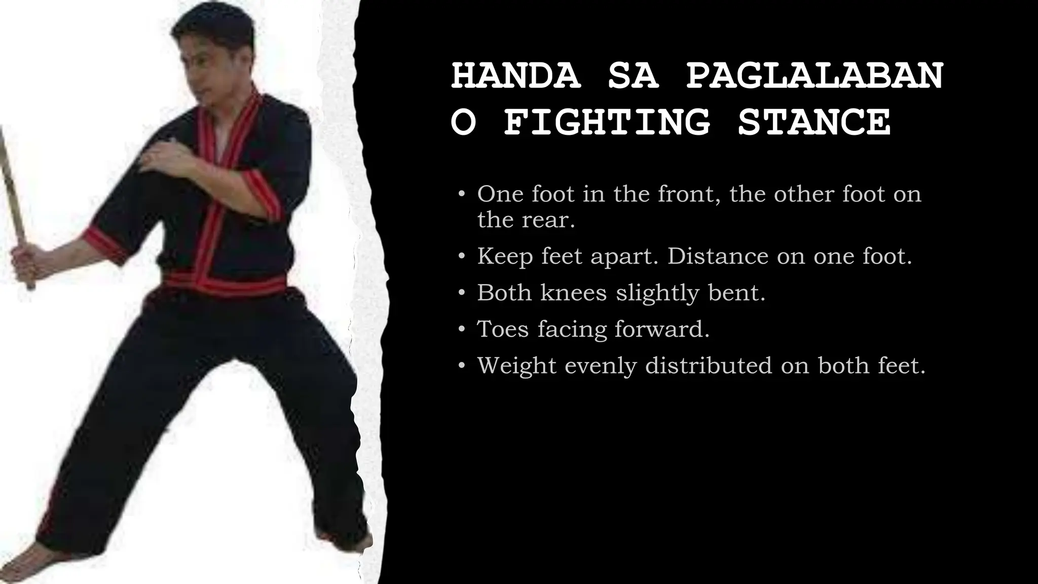 THE HISTORY OF ARANIS IN THE PHILIPPINES | PPTX