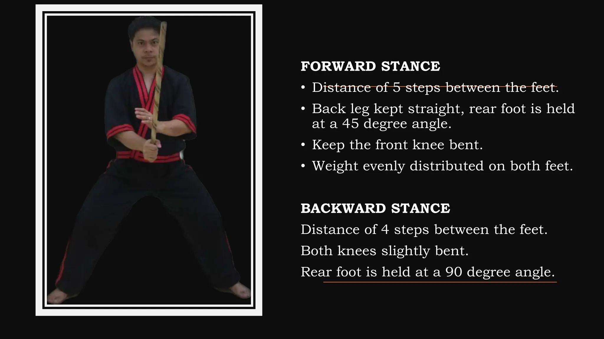 THE HISTORY OF ARANIS IN THE PHILIPPINES | PPTX