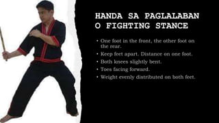 THE HISTORY OF ARANIS IN THE PHILIPPINES | PPTX