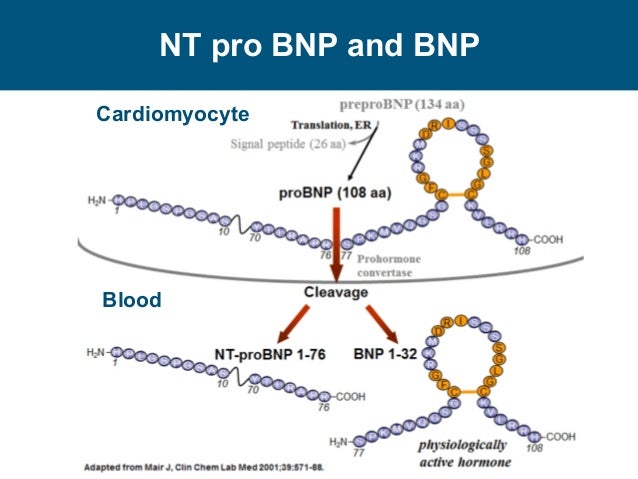 Angiotensin receptor-neprilysin inhibition(ARNI):The New Fronteir