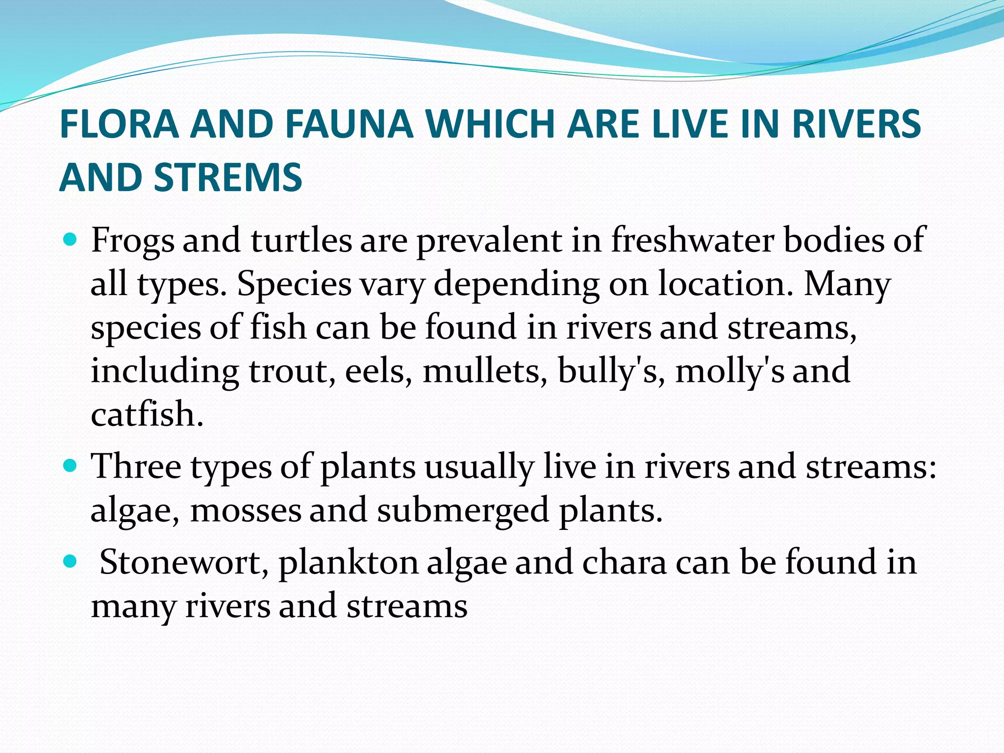 STRATIFICATION OF FRESHWATER ECOSYSTEMSTRATIFICATION OF FRESHWATER ...