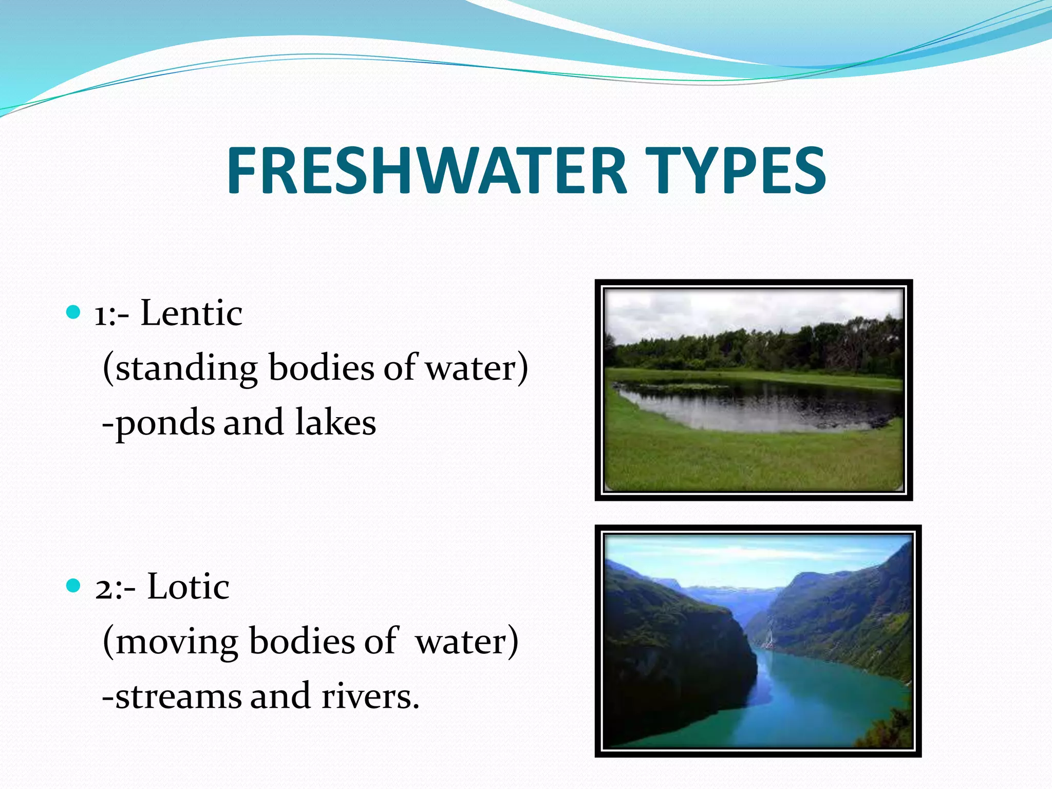 STRATIFICATION OF FRESHWATER ECOSYSTEMSTRATIFICATION OF FRESHWATER ...