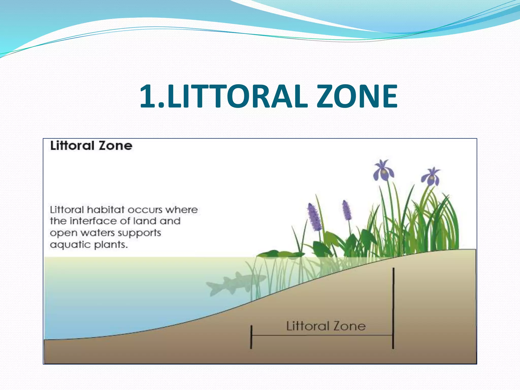 STRATIFICATION OF FRESHWATER ECOSYSTEMSTRATIFICATION OF FRESHWATER ...