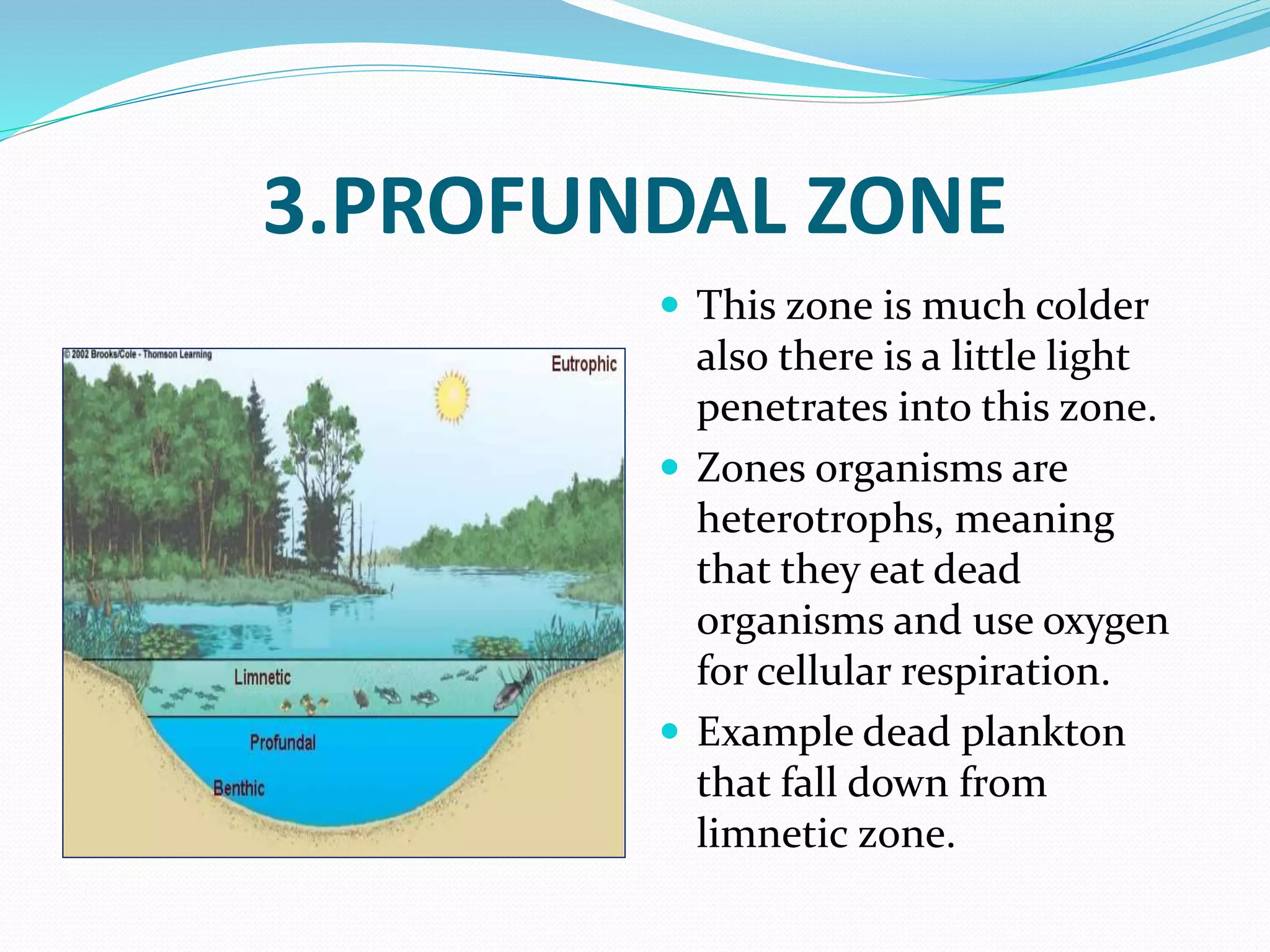 STRATIFICATION OF FRESHWATER ECOSYSTEMSTRATIFICATION OF FRESHWATER ...
