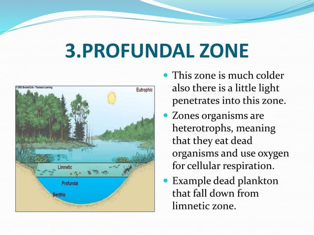 STRATIFICATION OF FRESHWATER ECOSYSTEMSTRATIFICATION OF FRESHWATER ...