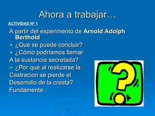 Arnold adolph berthold | PPT