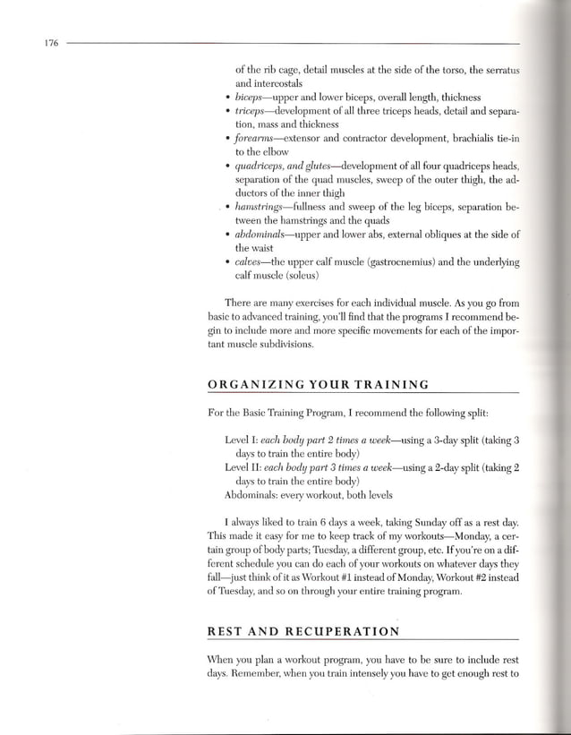 Arnolds Basic Training Program | PDF